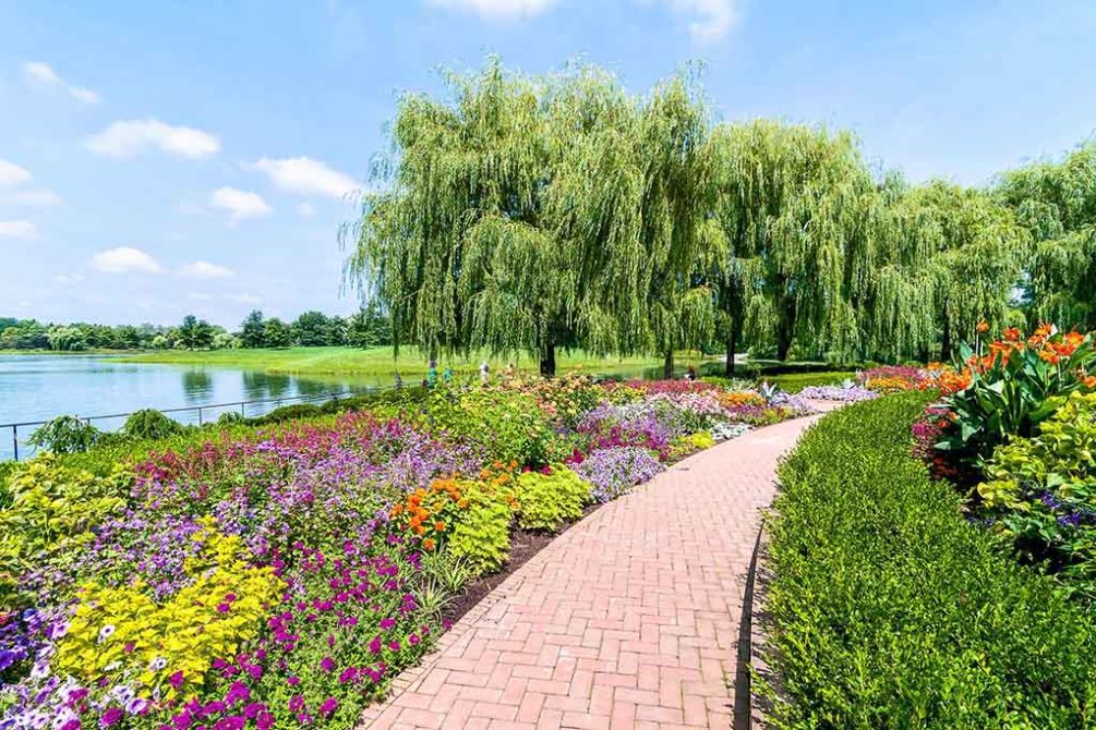 Toronto Botanical Gardens: Explore Nature’s Beauty in 2024