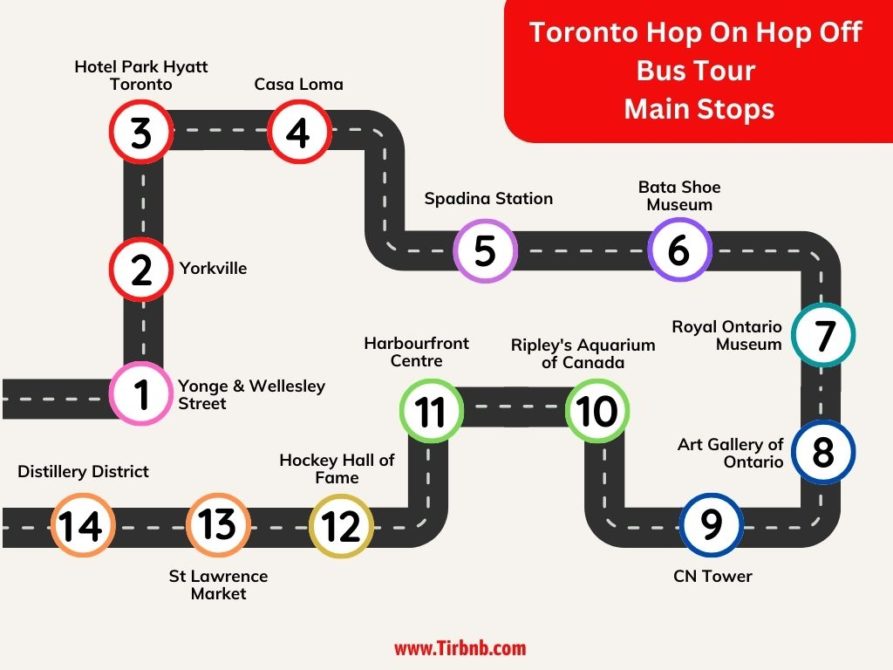Hop On Hop Off Toronto: Experience A Day of Adventure in 2024